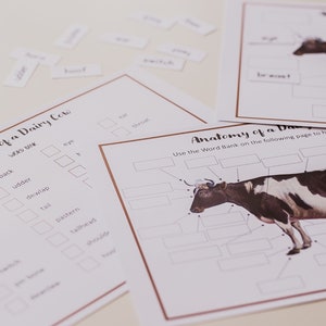 Anatomy of a Dairy Cow - Label the Diagram - Fill in the Blanks for ...