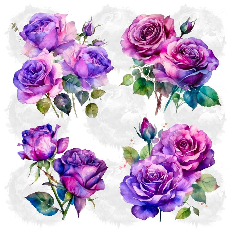 Rose Art Watercolor Rose Clipart Watercolor Roses Floral - Etsy