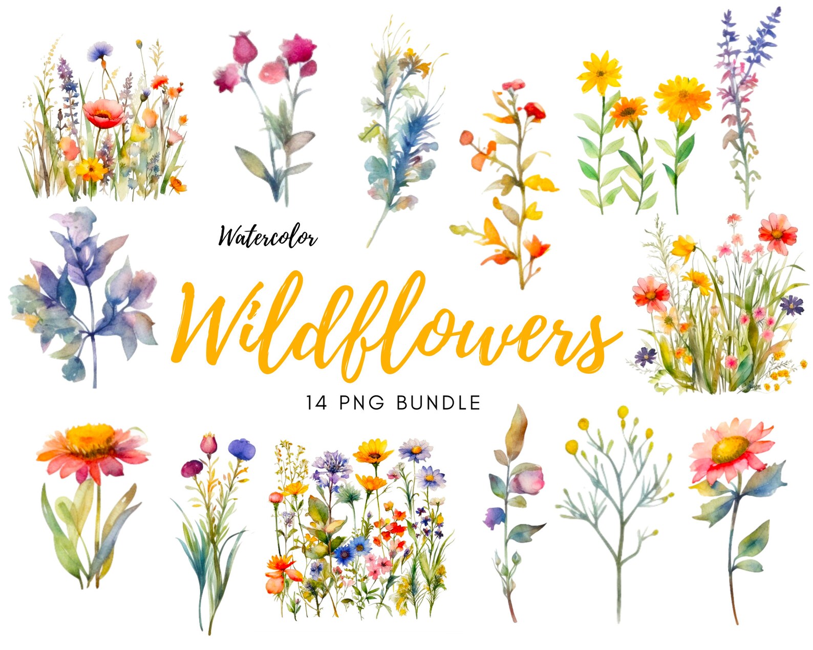 Wildflower Art, Watercolor Wildflower Clipart, Watercolor Wildflowers ...
