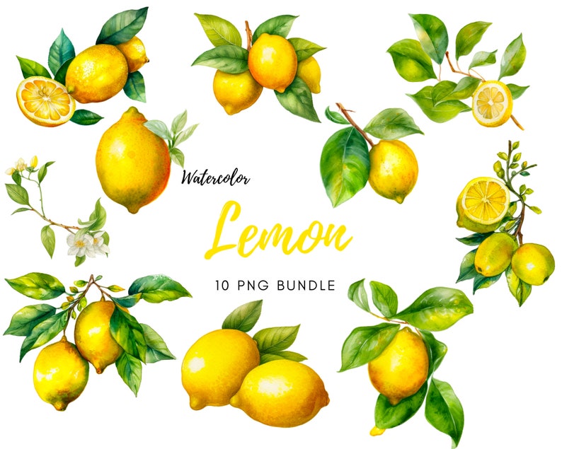 Lemon Art, Watercolor Lemon Clipart, Watercolor Lemons, Lemon Clipart ...