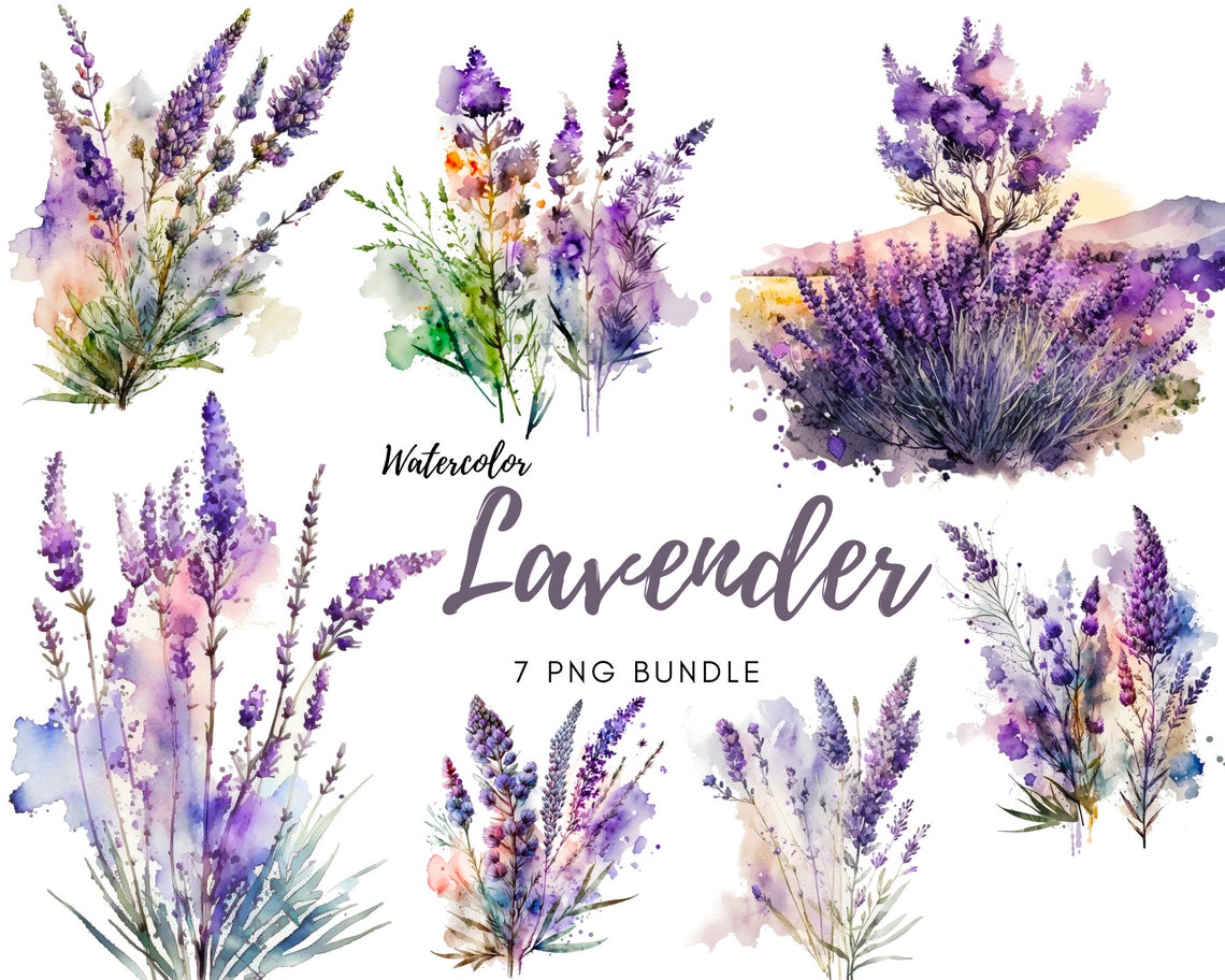 Lavender Art Watercolor Lavender Clipart Watercolor - Etsy