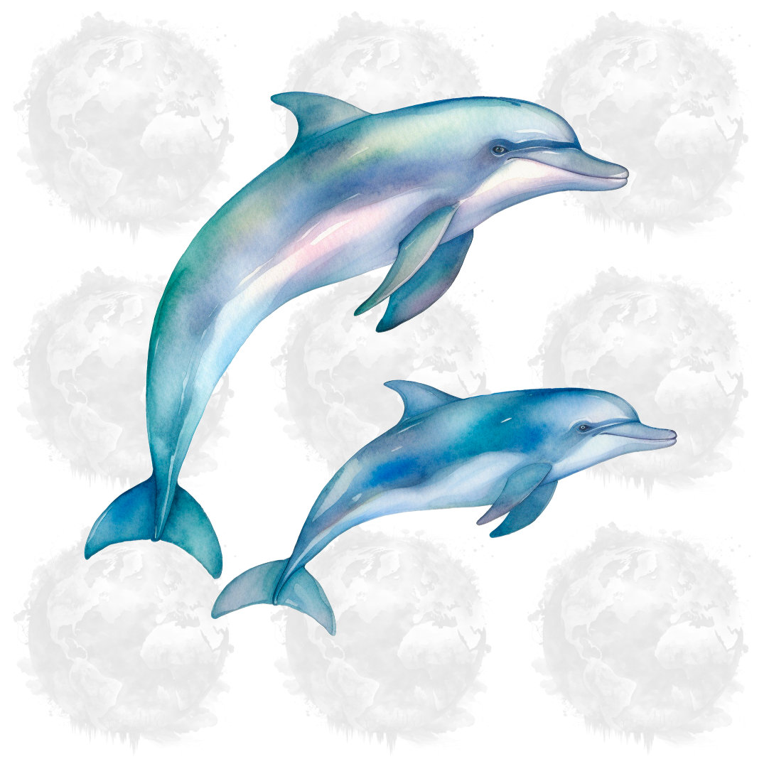 Dolphin Art Watercolor Dolphin Clipart Watercolor Dolphins - Etsy