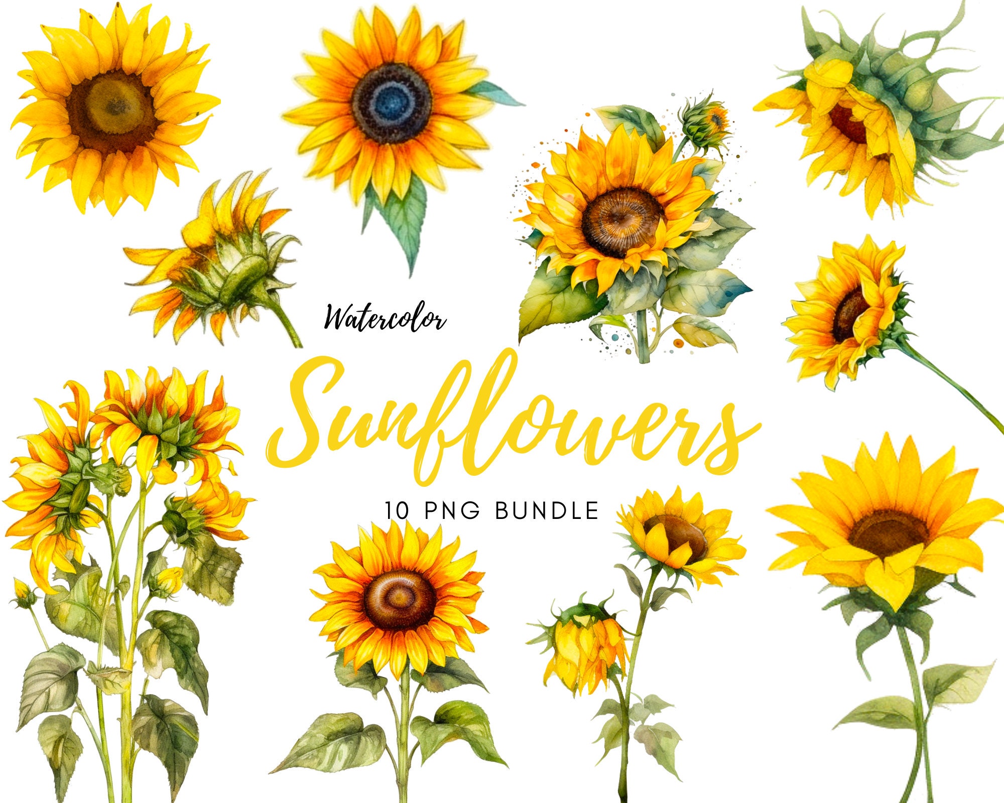 Sunflower Art, Watercolor Sunflower Clipart, Watercolor Sunflowers ...