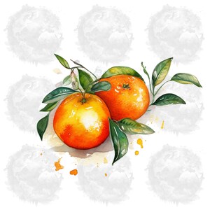 Orange Art, Watercolor Orange Clipart, Watercolor Oranges, Orange ...