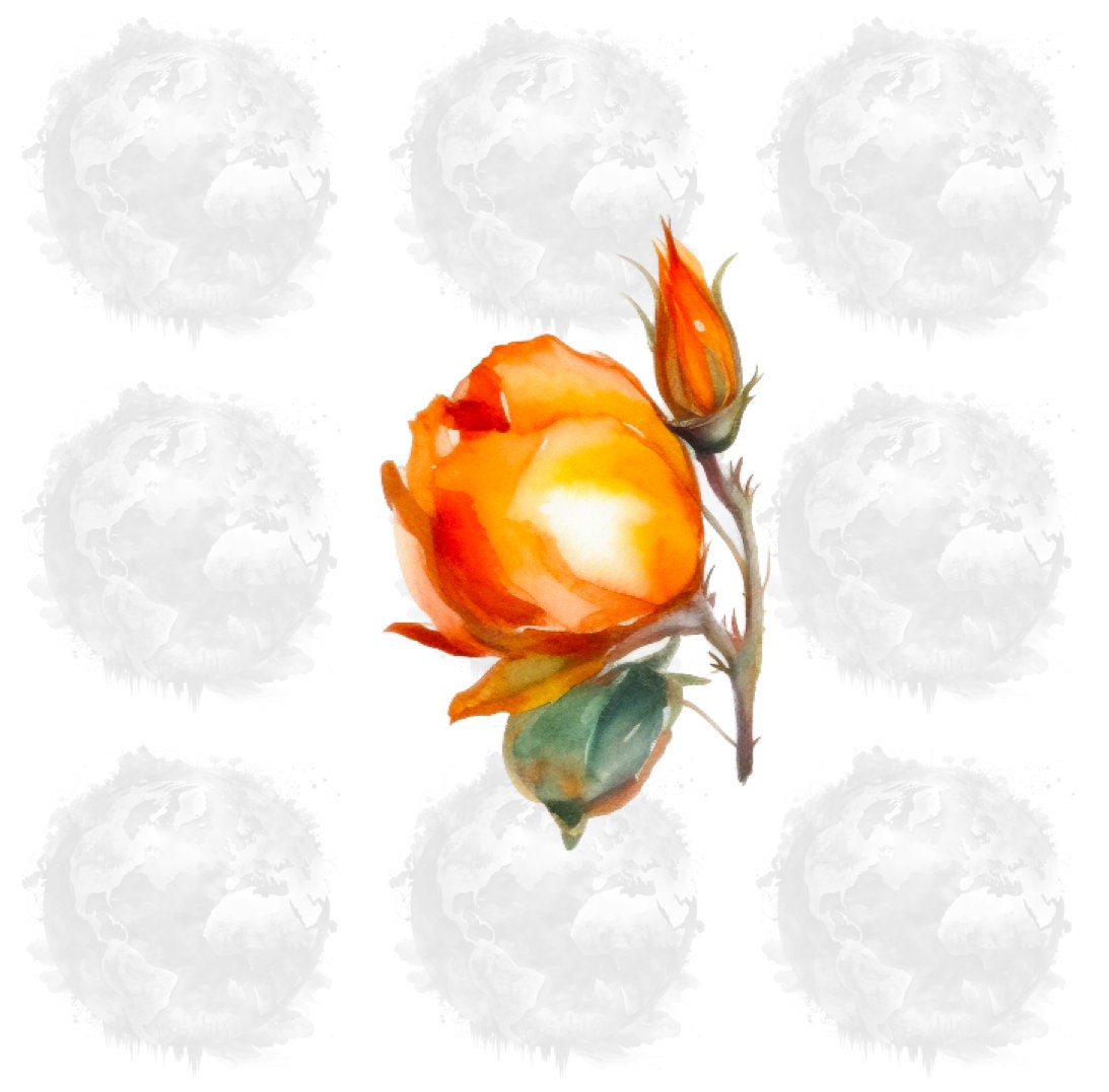 Rose Art Watercolor Rose Clipart Watercolor Roses Floral - Etsy