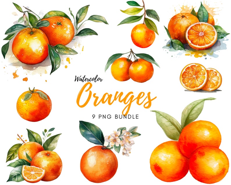 Orange Art, Watercolor Orange Clipart, Watercolor Oranges, Orange ...