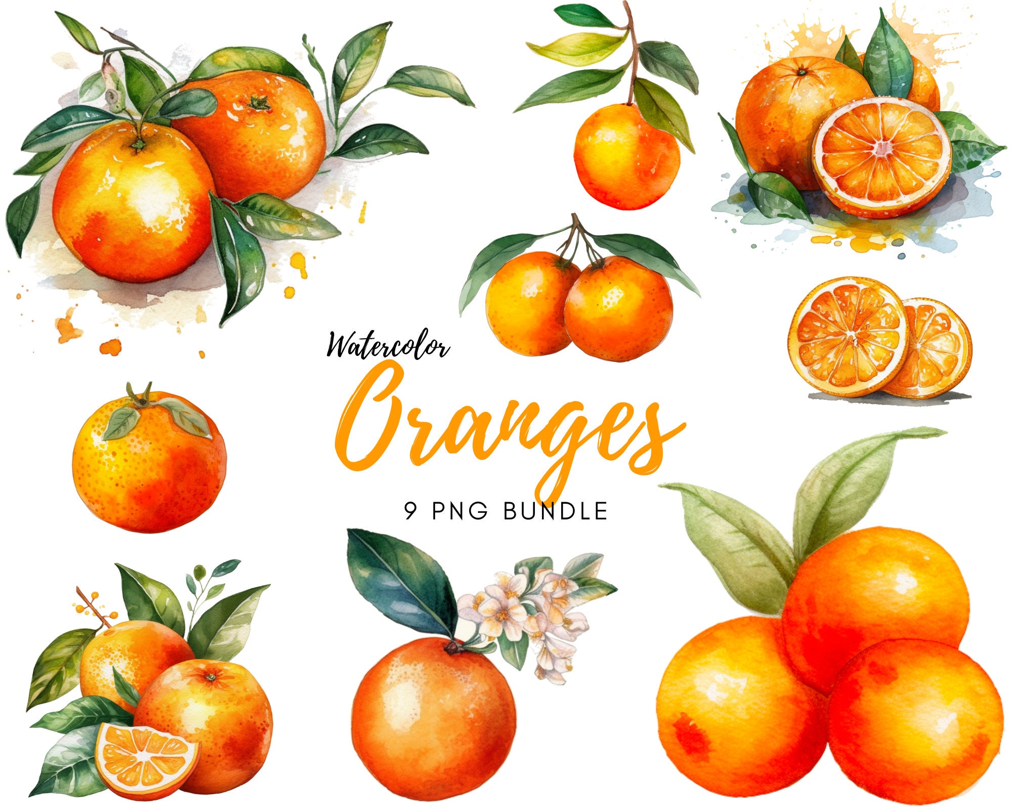 Orange Art, Watercolor Orange Clipart, Watercolor Oranges, Orange ...
