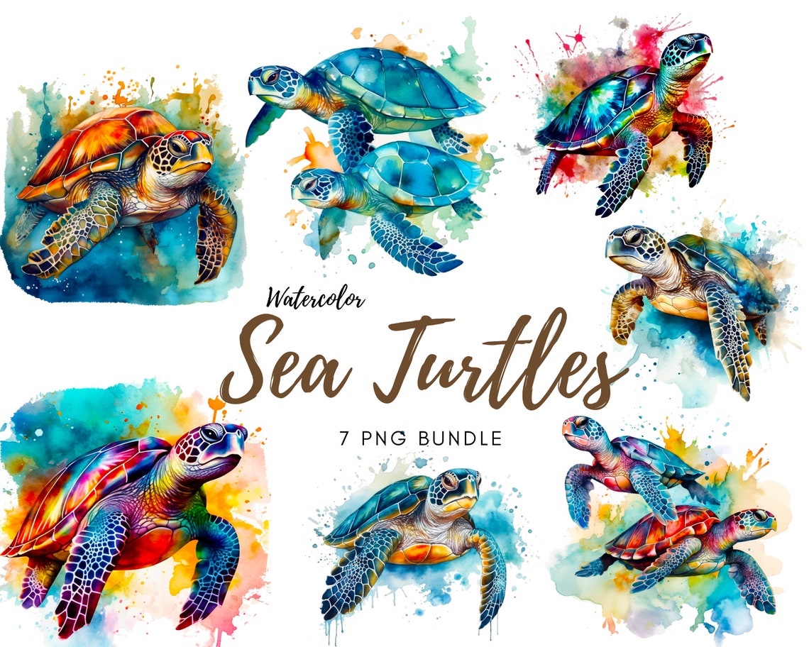Turtle Art, Watercolor Turtle Clipart, Watercolor Turtles, Turtle ...