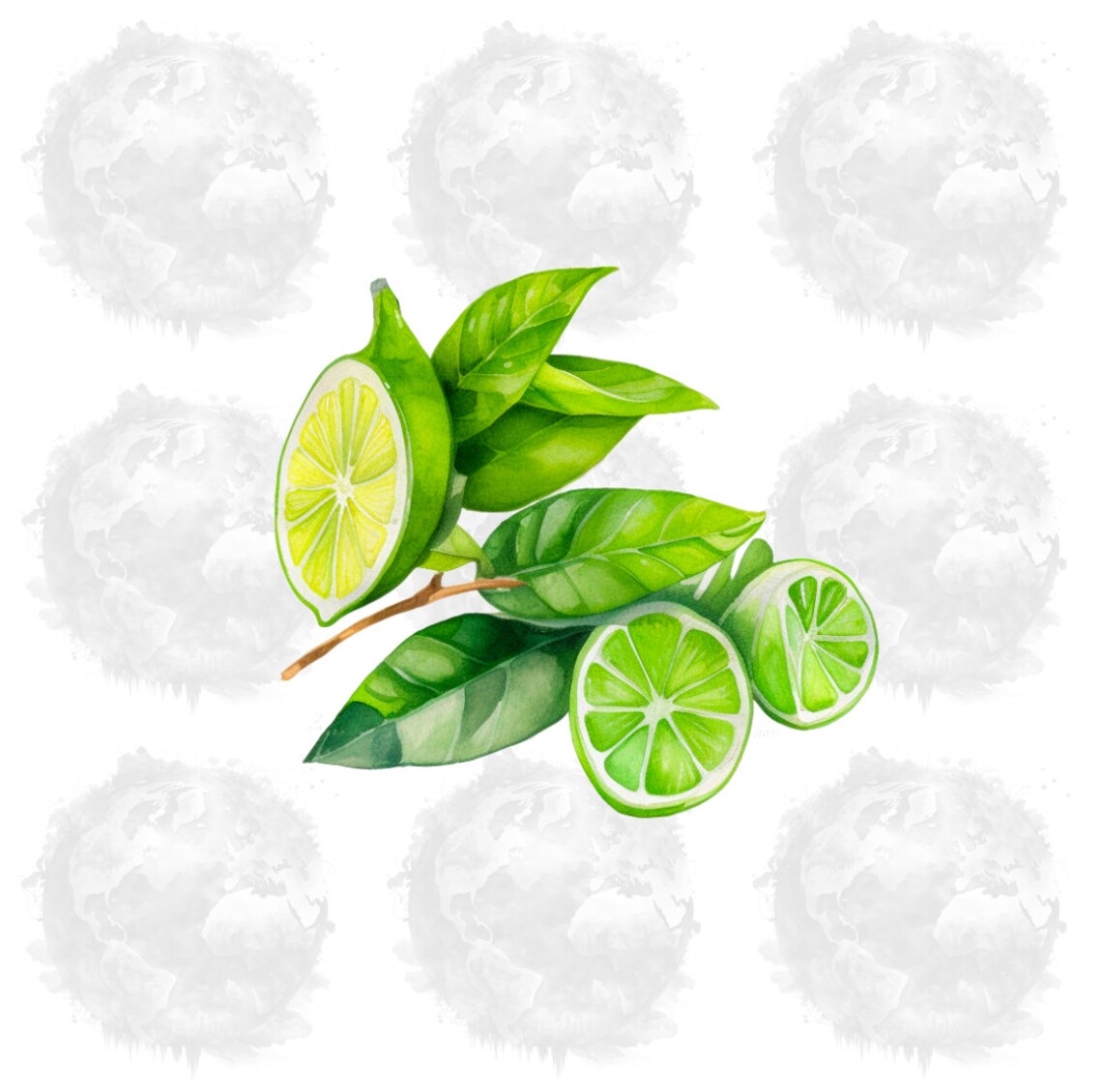 Lime Art, Watercolor Lime Clipart, Watercolor Limes, Lime Clipart, Lime ...