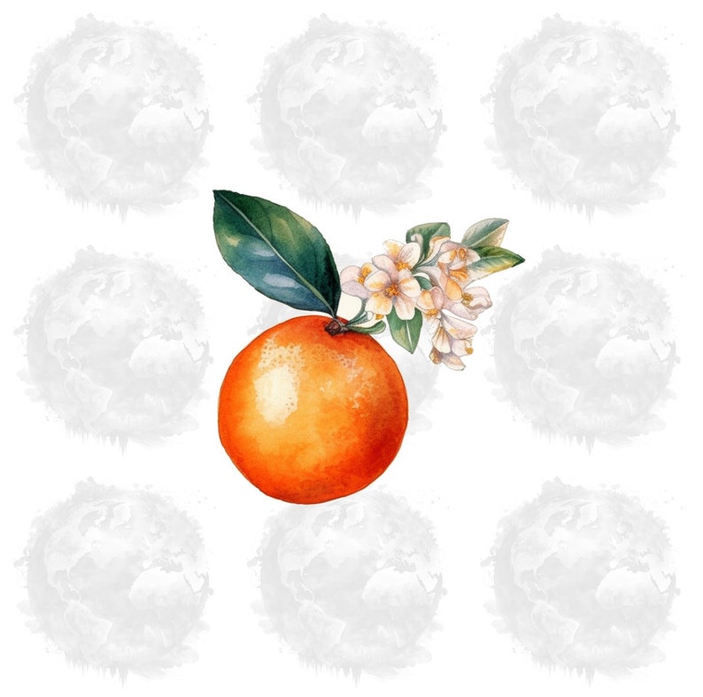 Orange Art Watercolor Orange Clipart Watercolor Oranges - Etsy