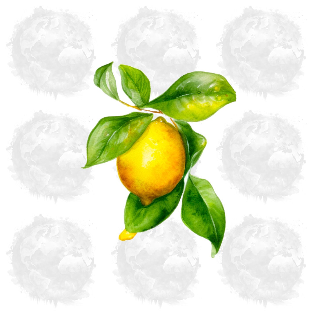 Lemon Art Watercolor Lemon Clipart Watercolor Lemons Lemon - Etsy