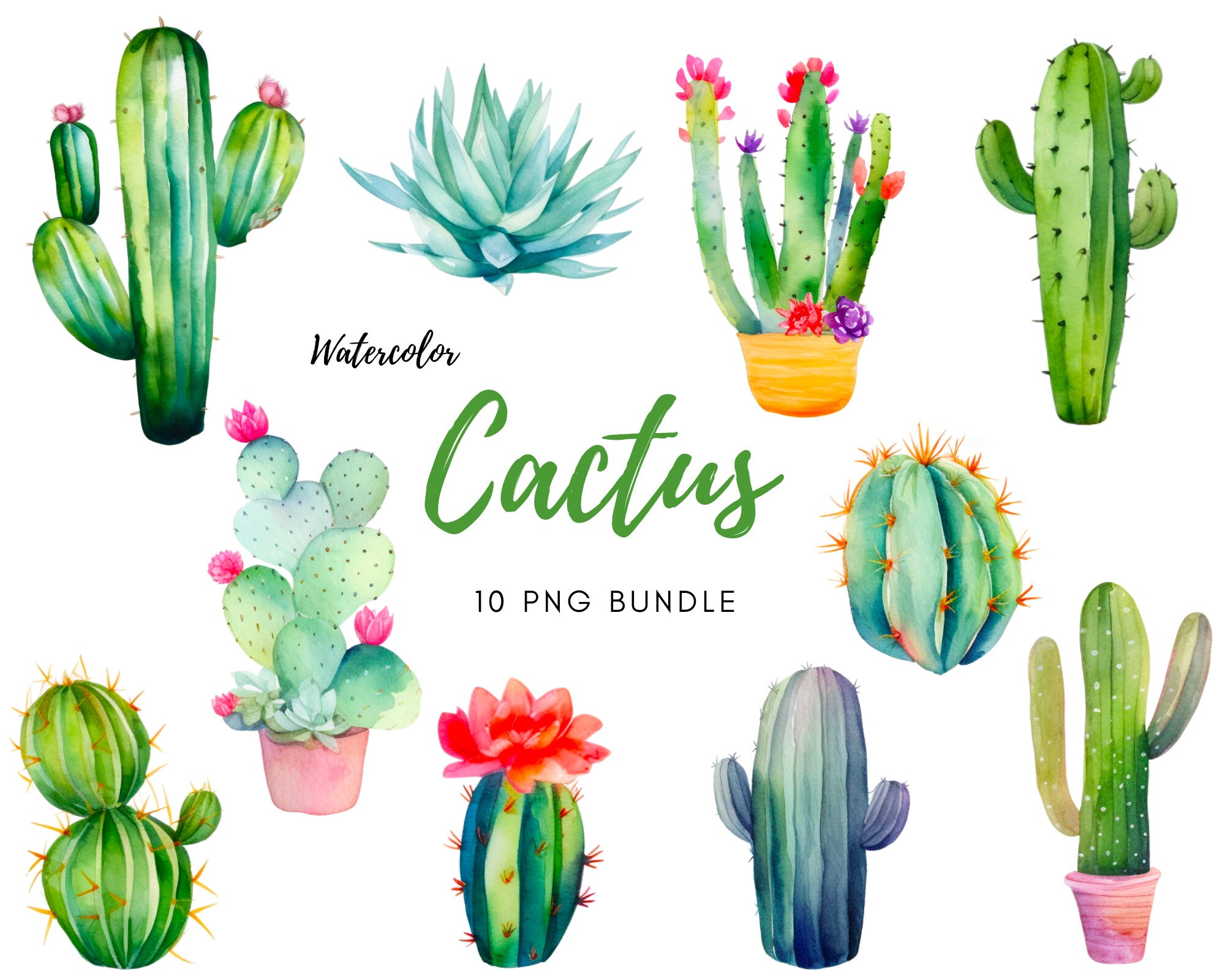 Cactus Art, Watercolor Cactus Clipart, Watercolor Cactus, Cactus ...