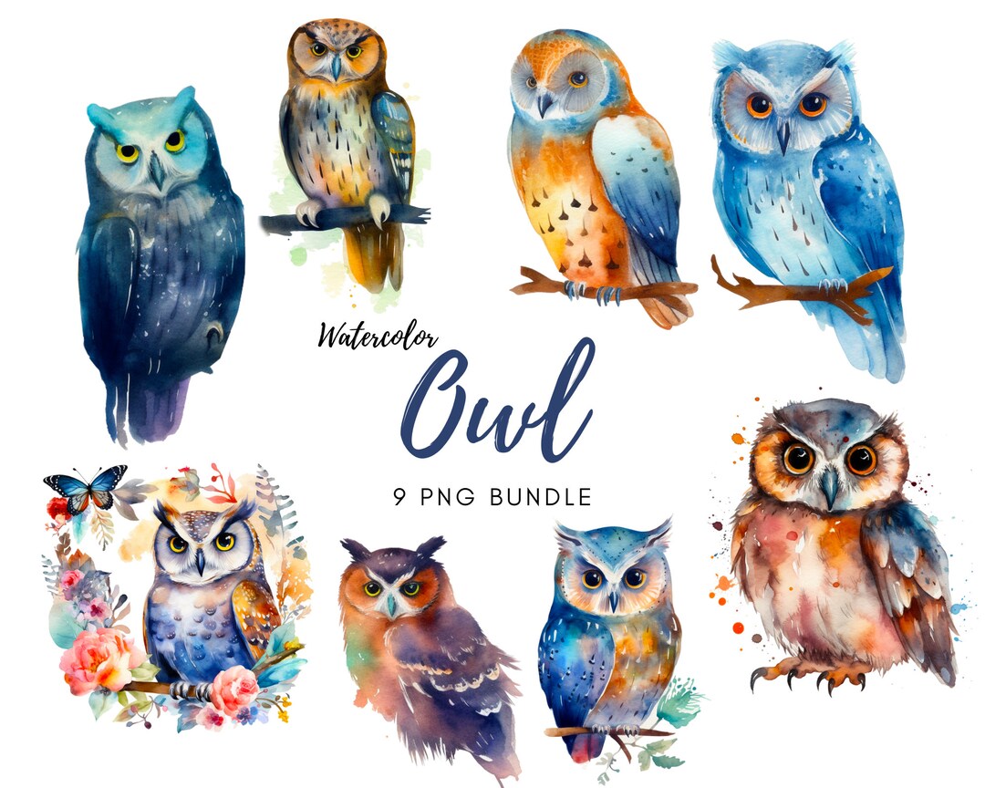 Owl Art, Watercolor Owl Clipart, Watercolor Owls, Owl Clipart, Animal ...