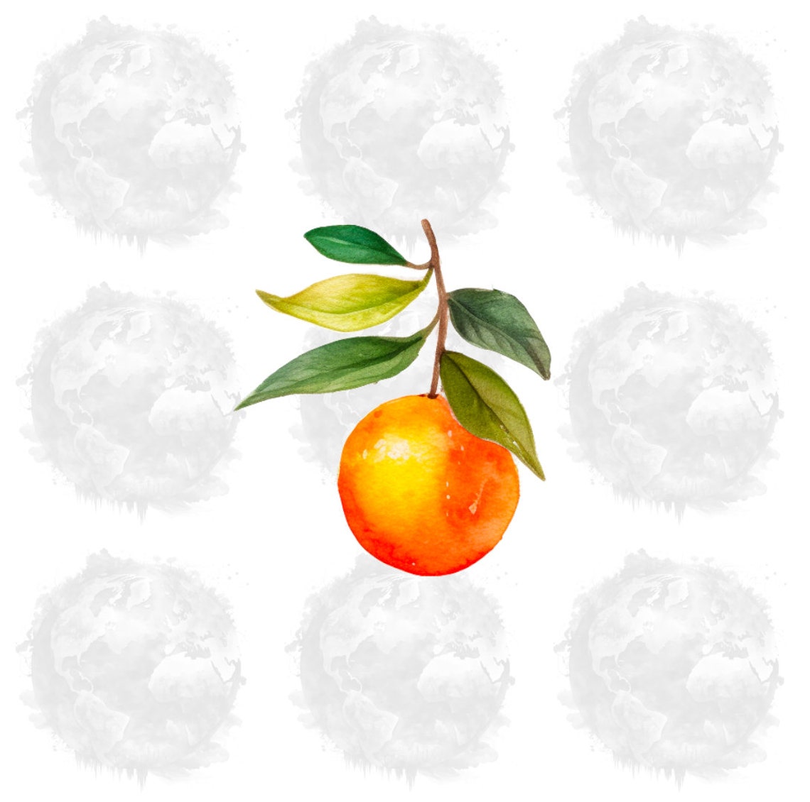 Orange Art, Watercolor Orange Clipart, Watercolor Oranges, Orange ...