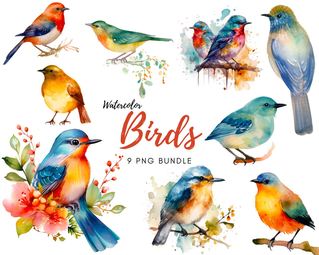 Bird Art, Watercolor Bird Clipart, Watercolor Birds, Bird Clipart ...