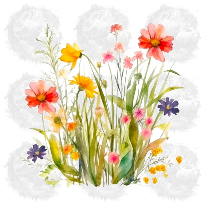 Wildflower Art, Watercolor Wildflower Clipart, Watercolor Wildflowers ...