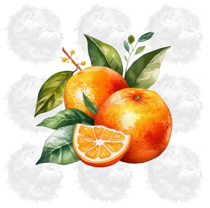 Orange Art, Watercolor Orange Clipart, Watercolor Oranges, Orange ...
