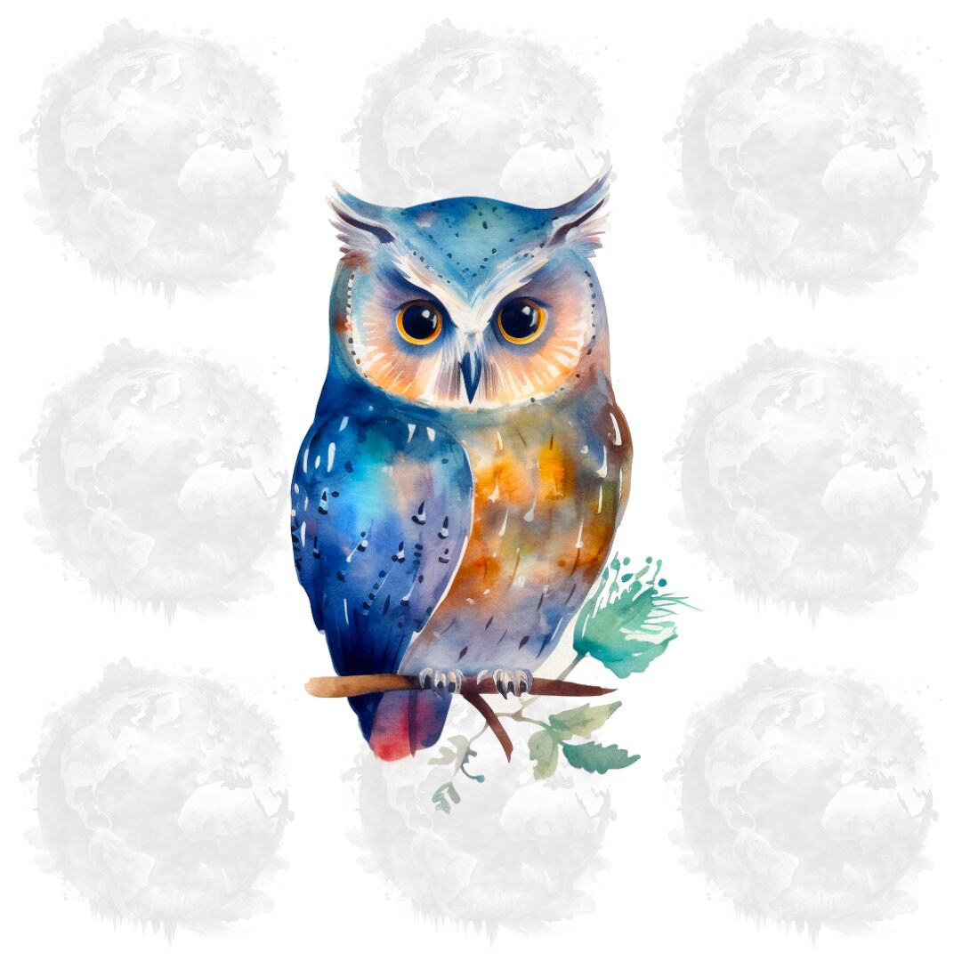 Owl Art, Watercolor Owl Clipart, Watercolor Owls, Owl Clipart, Animal ...