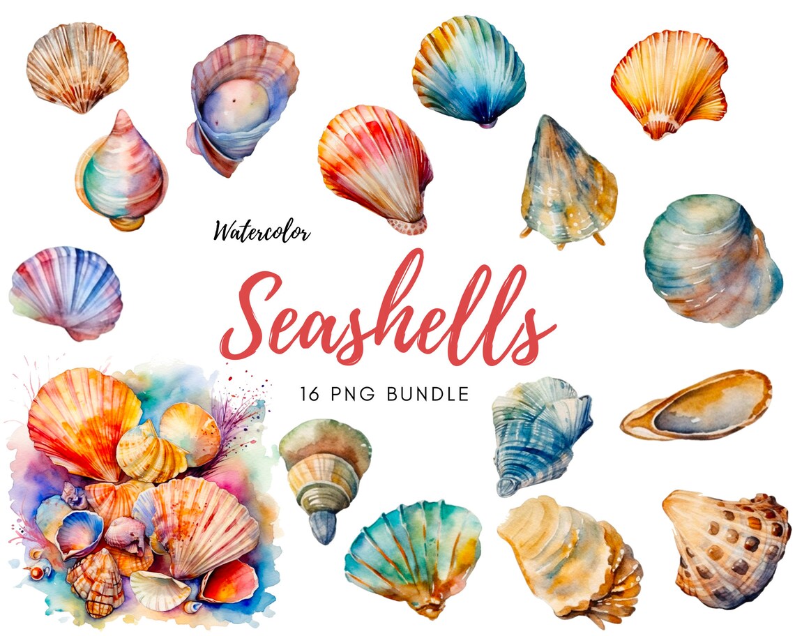 Seashell Art Watercolor Seashell Clipart Watercolor - Etsy