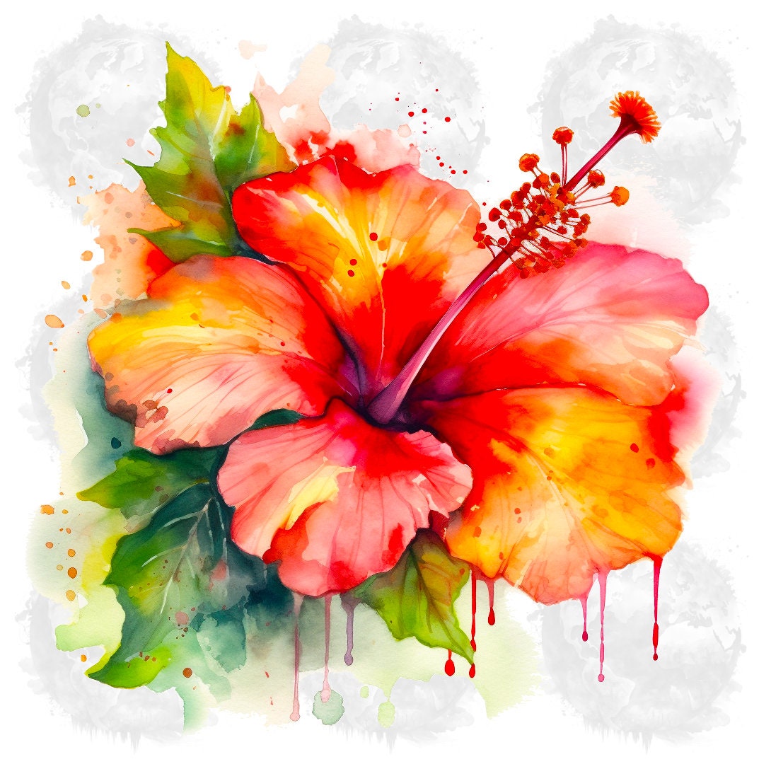 Hibiscus Art Watercolor Hibiscus Clipart Watercolor - Etsy