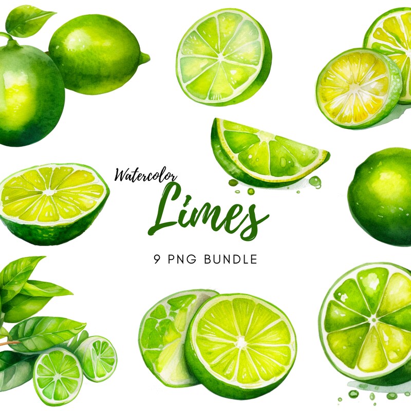 Lime Watercolor - Etsy