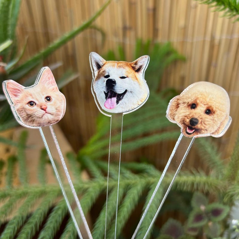 Pets Wedding Invitation - Etsy