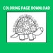 Turtle Coloring Page Digital Download Coloring Page Coloring Sheet Kids ...