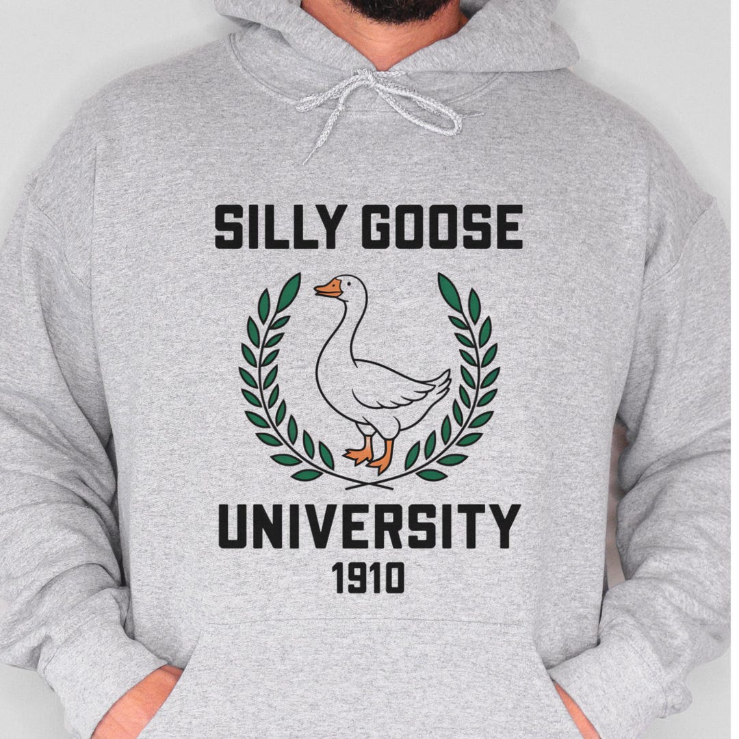 Graduation Gift Box for Him for 2025 Graduate, Funny Goose Graduation ...