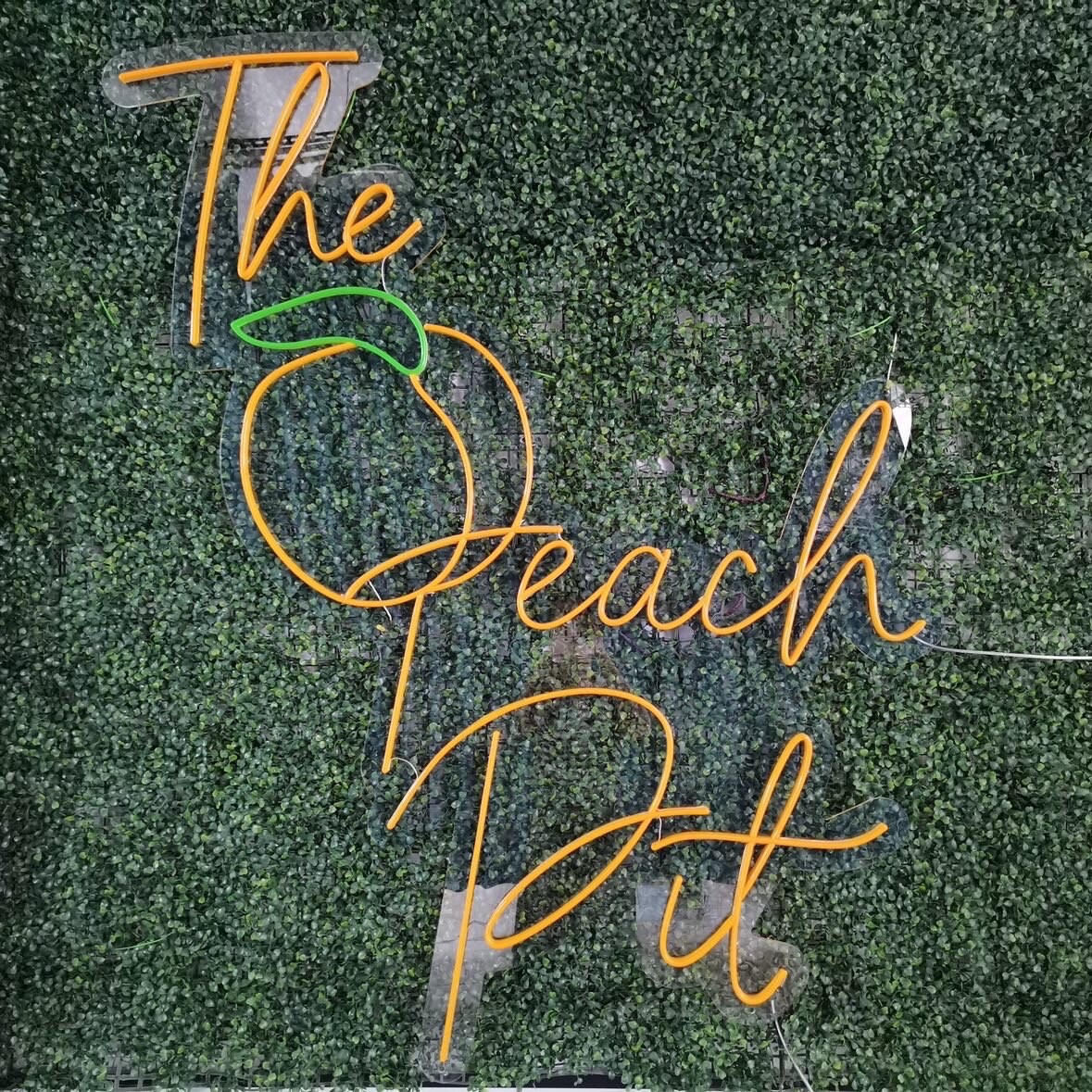 Peach Pit Neon Sign for Gym Neon Sign for Workout Room for Home Gym ...