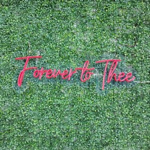 Neon Sign South Carolina Gamecocks Neon Forever to Thee Neon Sign for ...