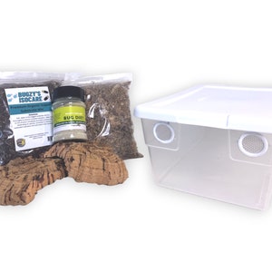 6 Quart Isopod Vivarium Starter Kit: Vented Enclosure, Substrate & Moss ...