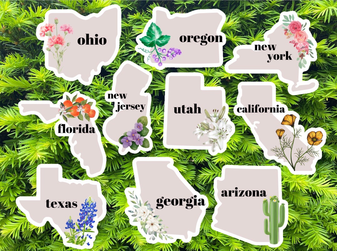All 50 United States With State Flowers Stickers Laptop Stickers Phone ...