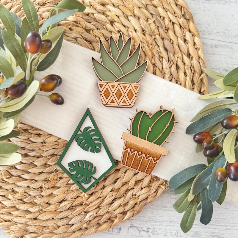 Succulent Magnet - Etsy