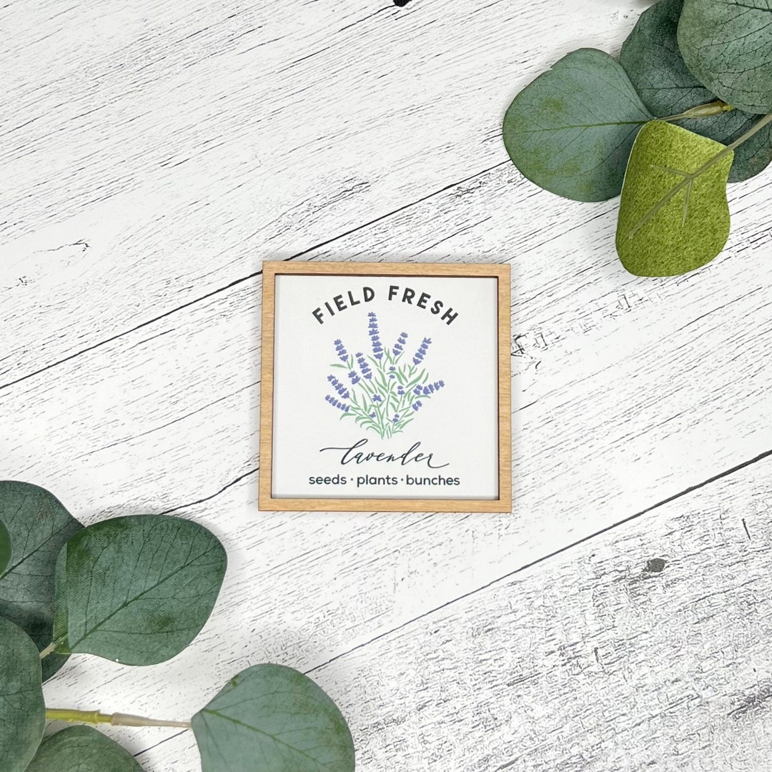 Mini Framed Lavender Sign // Field Fresh Lavender Sign // Mini Summer ...