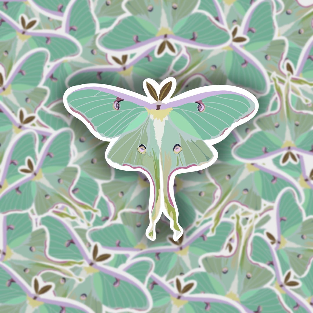 Luna Moth Sticker - Etsy