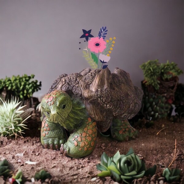 Turtle Cactus - Etsy