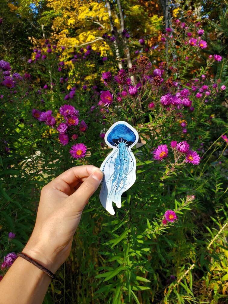 Blue Jellyfish Stickers Ocean Stickers Ocean Life Laptop - Etsy