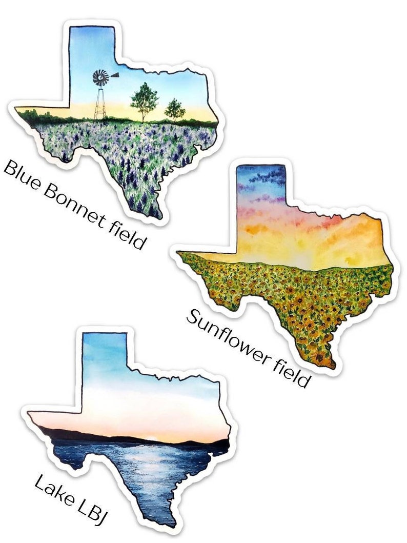 Texas Stickers Original Hand Painted Blue Bonnet Field - Etsy