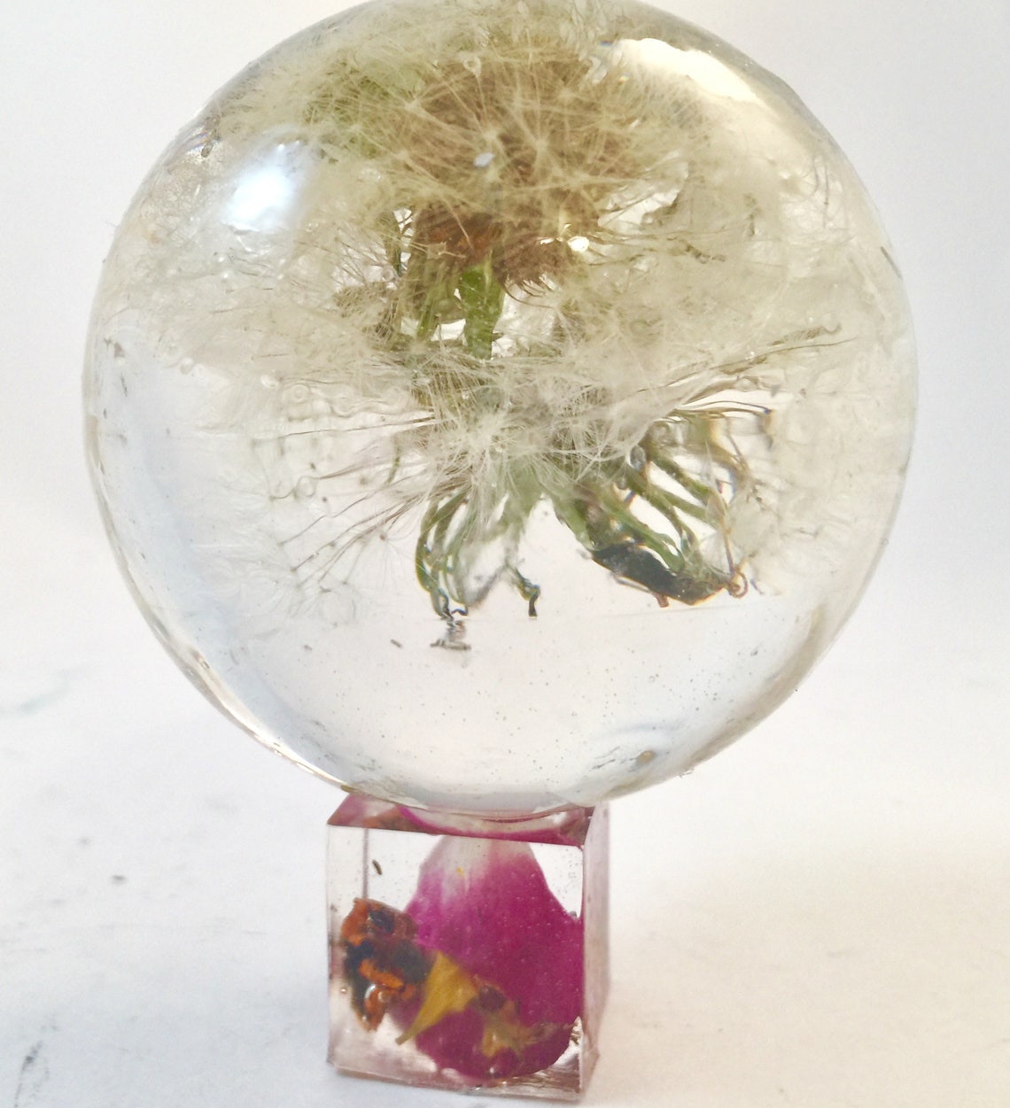 Dandelions Preserved in a Resin Sphere - Etsy