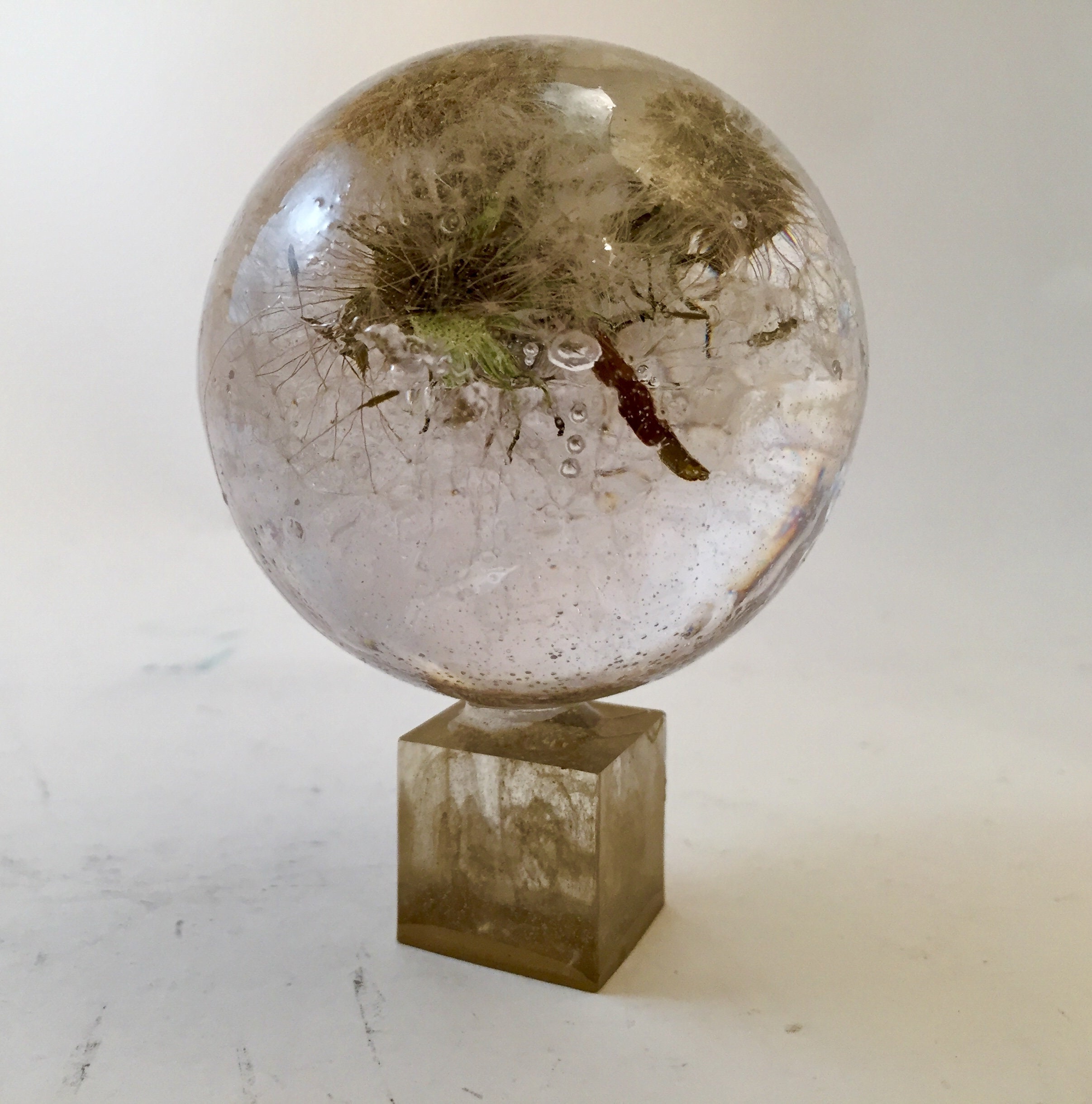 Dandelion Puffs Preserved in a Resin Sphere - Etsy UK