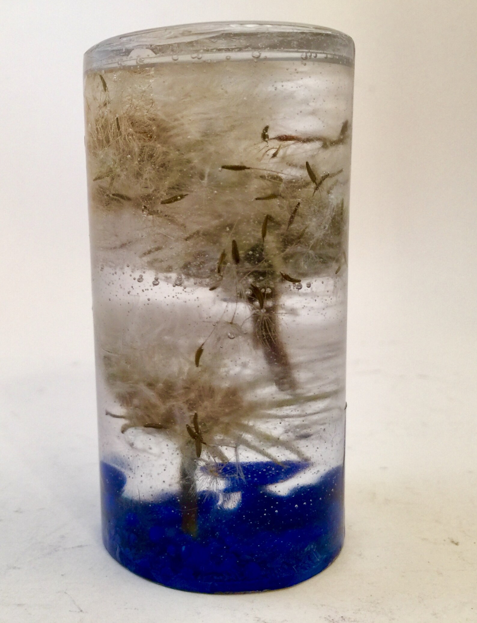 Dandelion Puffs Preserved in Resin - Etsy