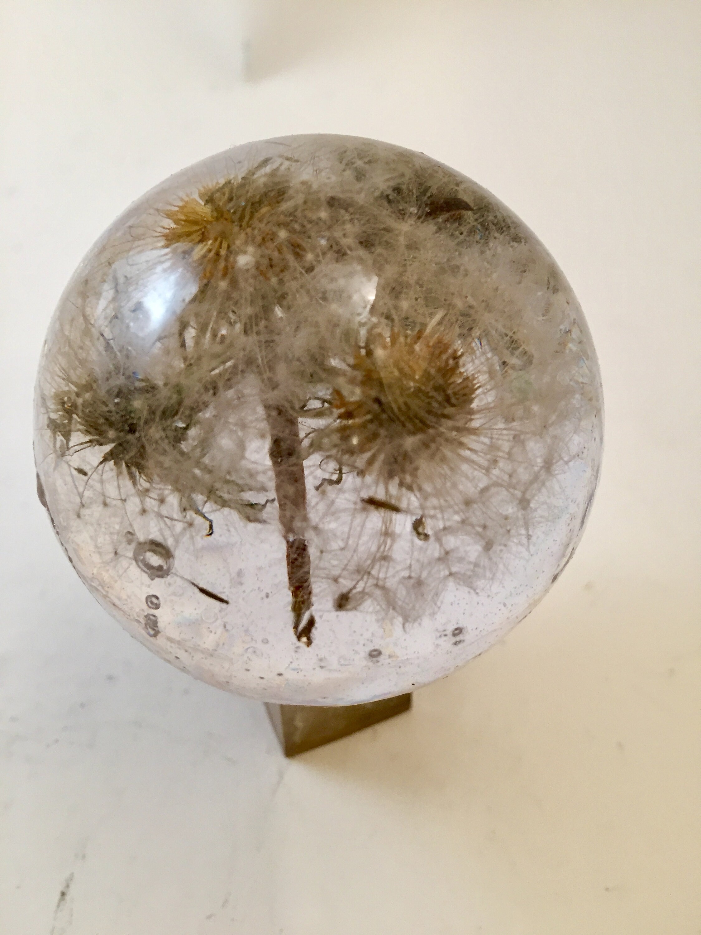 Dandelion Puffs Preserved in a Resin Sphere - Etsy