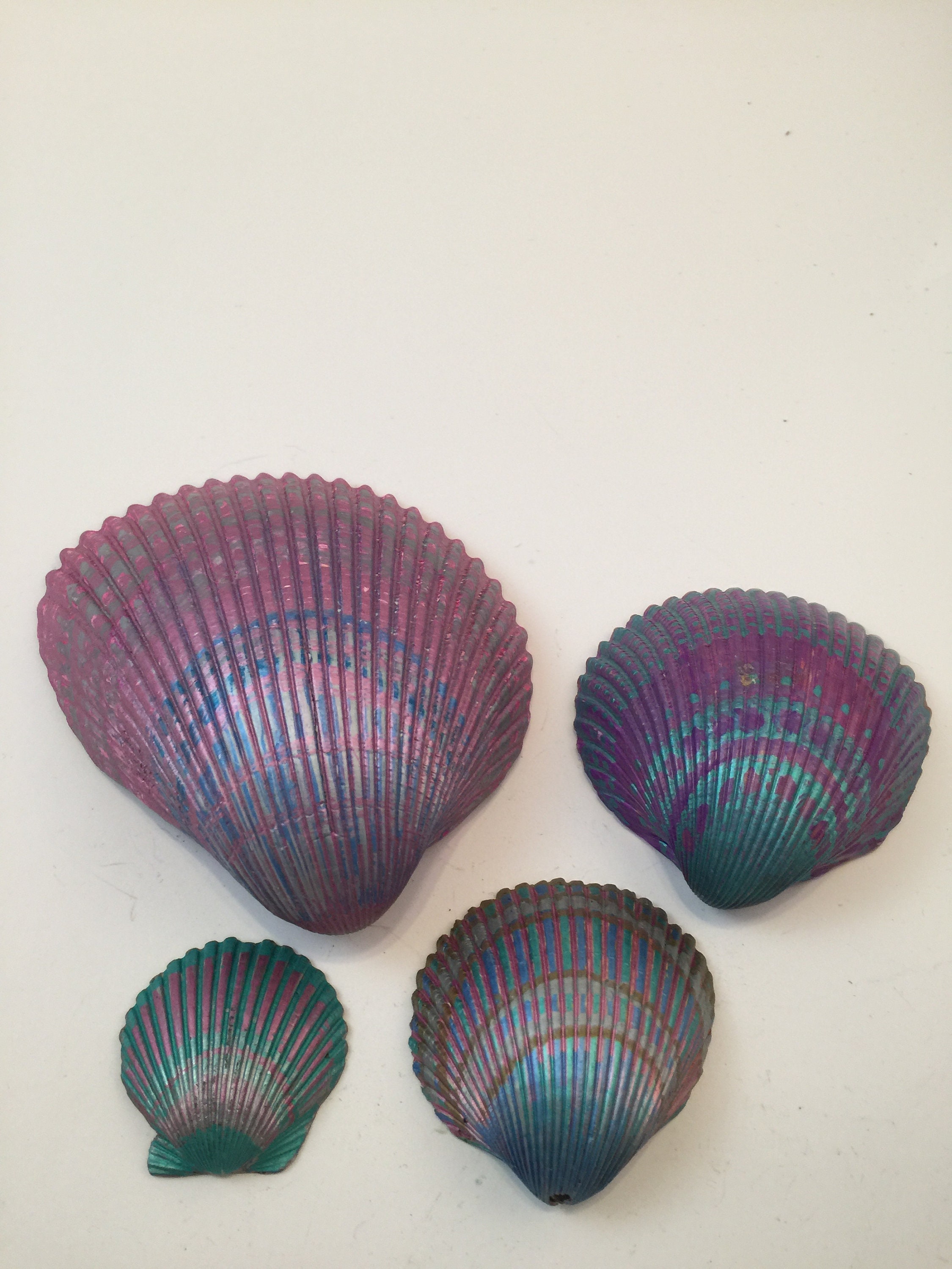 Turquoise and Pink Painted Seashells - Etsy