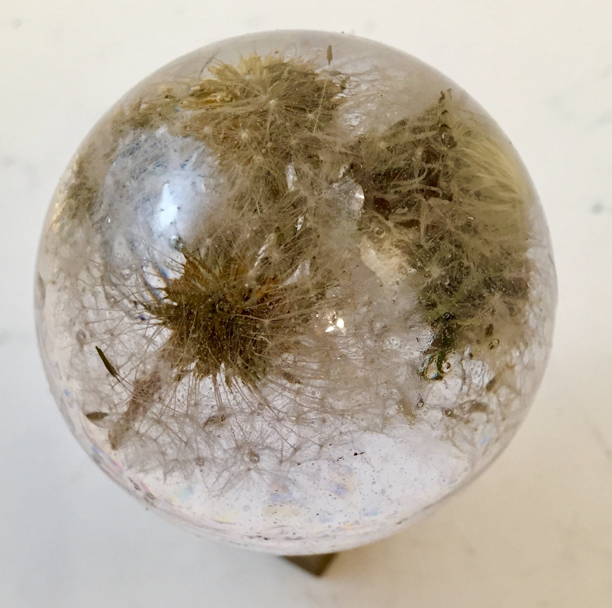Dandelion Puffs Preserved in a Resin Sphere - Etsy UK