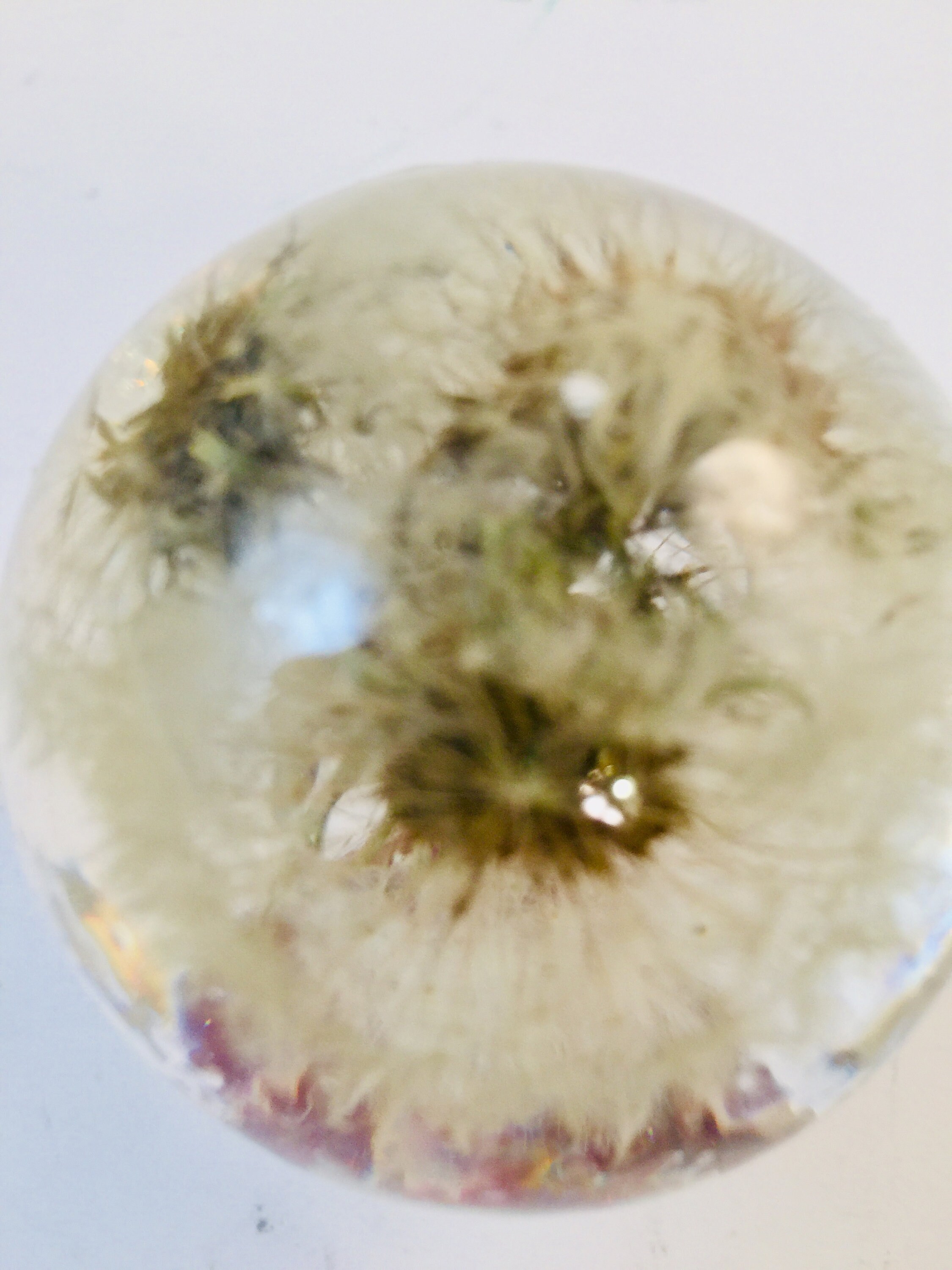 Dandelions Preserved in a Resin Sphere - Etsy