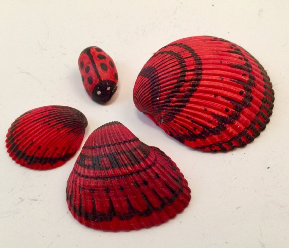 Set of 4 Red and Black Painted Seashell Art - Etsy