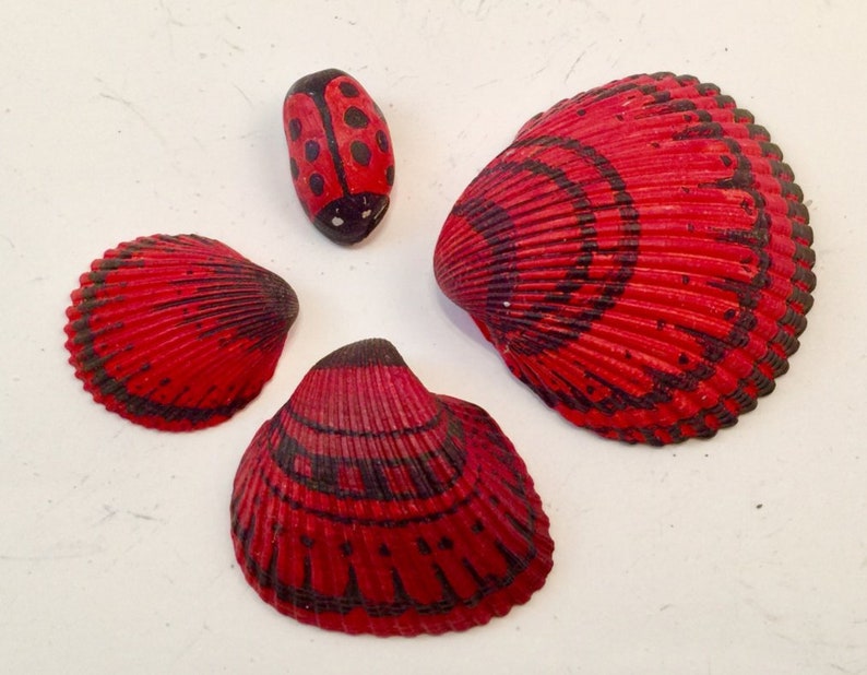 Set of 4 Red and Black Painted Seashell Art - Etsy