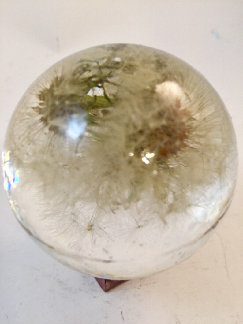 Dandelions Preserved in a Resin Sphere - Etsy