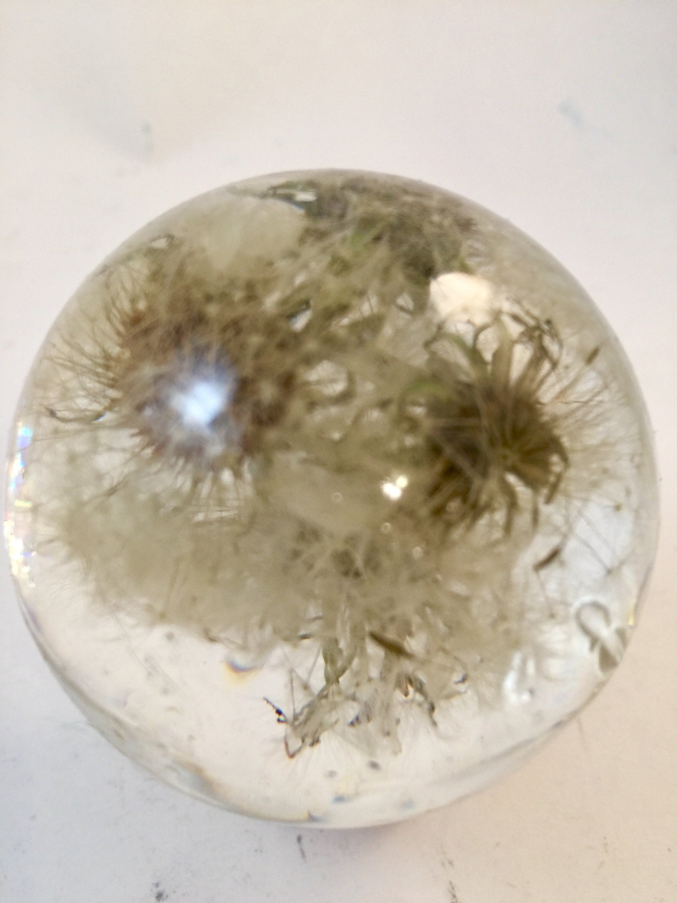 Dandelions Preserved in a Resin Sphere - Etsy