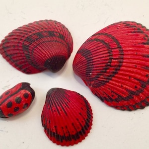 Set of 4 Red and Black Painted Seashell Art - Etsy